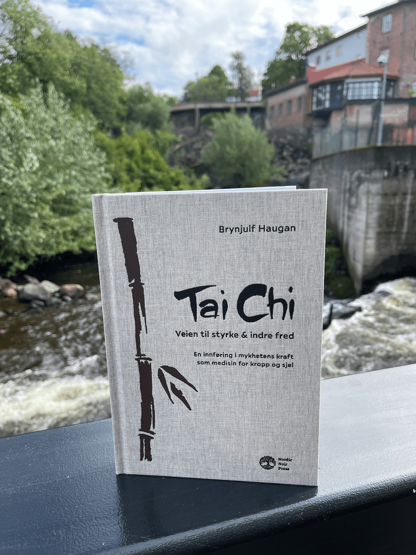 Tai Chi Bok | Norsk TaiChi skole